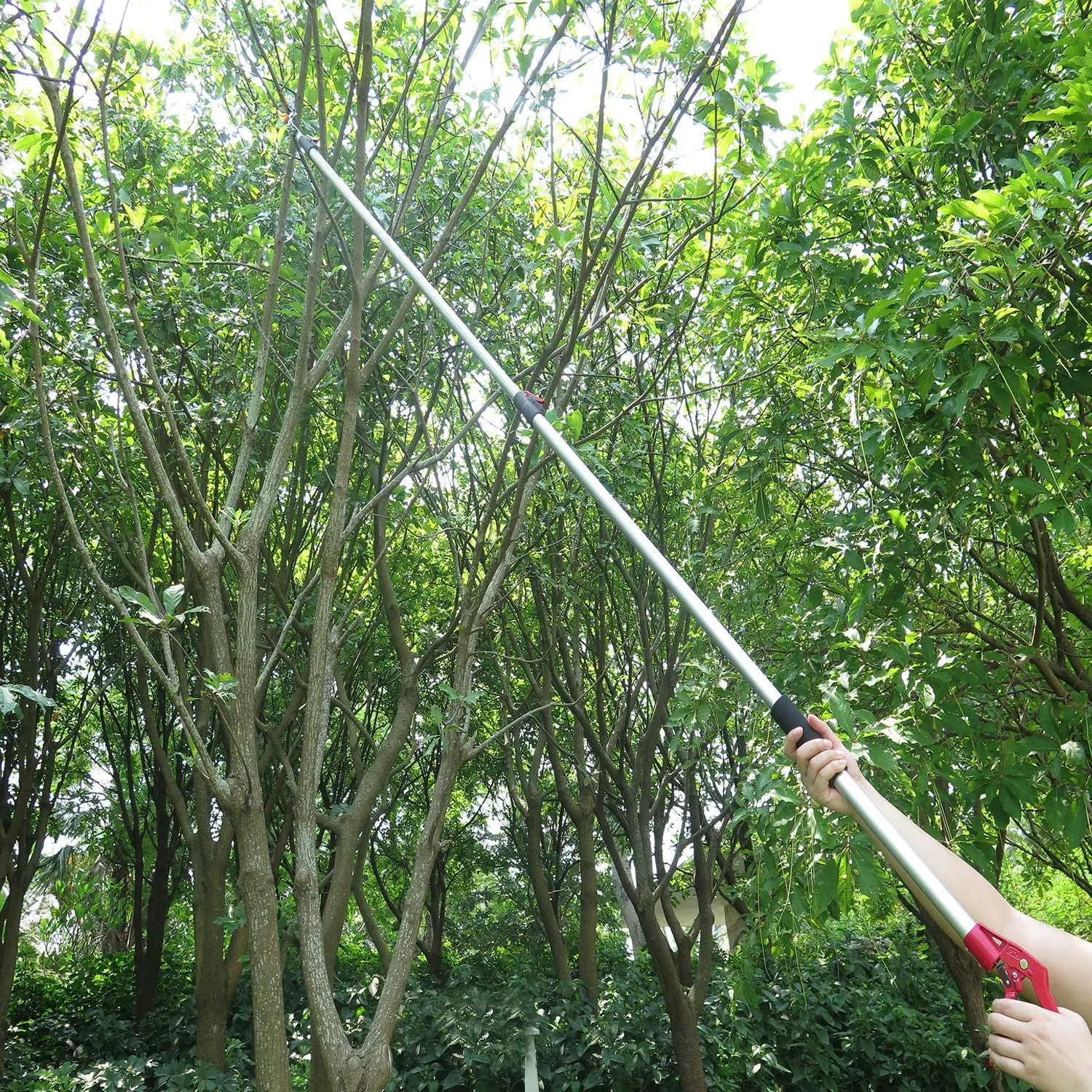 Extentool Long Handle Tall Tree Pruner With 2.1-5 Meters Aluminum ...