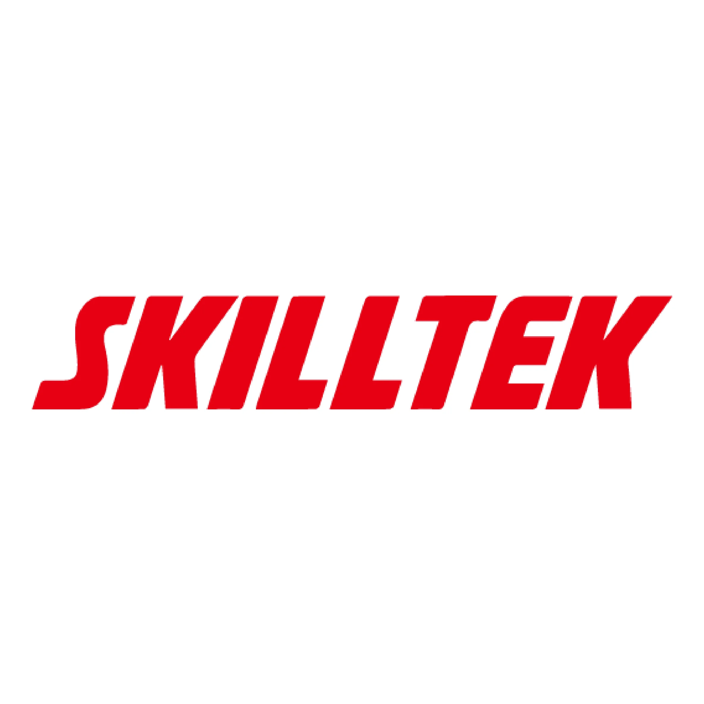 Company Overview - SKILLTEK INDUSTRIES INC.
