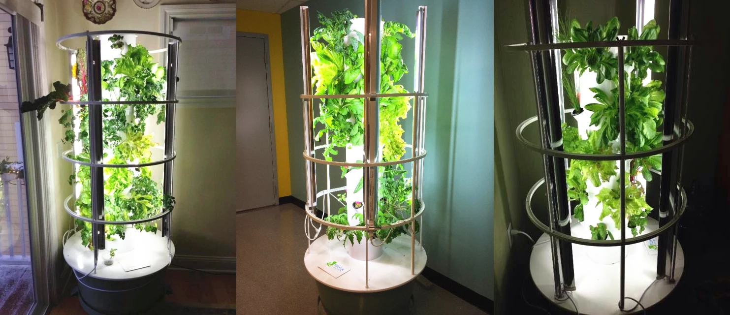 Vertical Aeroponic Grow System for Efficient Lettuce Production