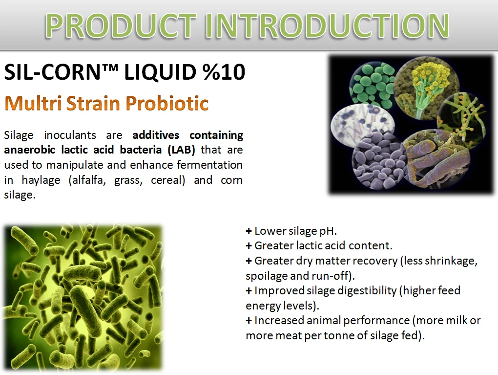 Silage Inoculant Multi Strain Probiotics Liquid Premix Form %10 ...