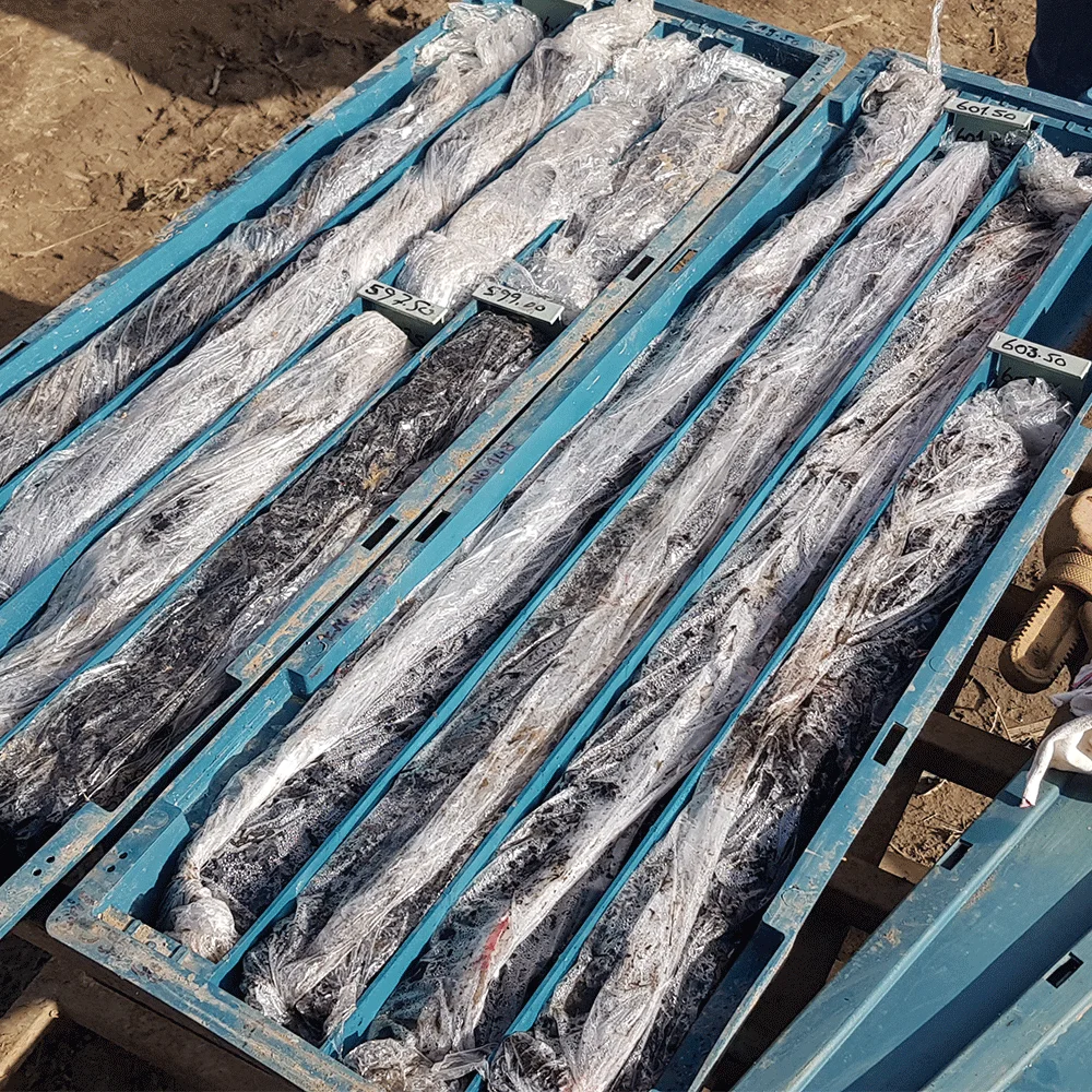 BQ NQ HQ PQ Core Size Plastic Drilling Core Tray Boxes