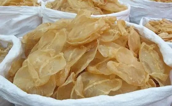 Best Seller Product No Chemical Fish Maw High Quality Dried Fish Maw In ...
