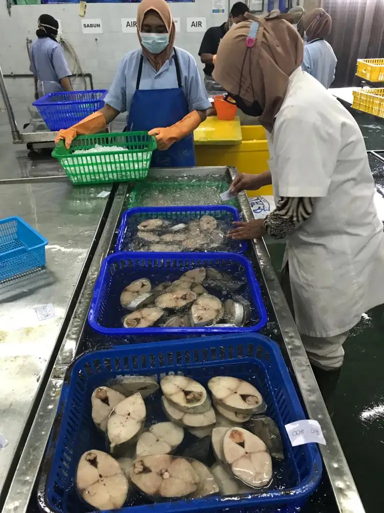 Best Premium Quality Fish (150-200 Gm/pc) Bulk Packing 10 Kg/ctn Frozen ...