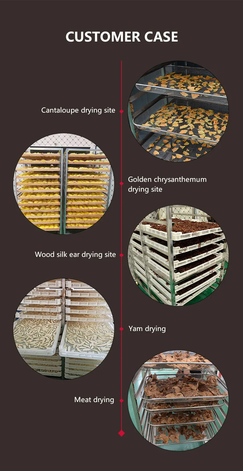 Efficient Coconut Copra Dryer - High Capacity & Low Noise