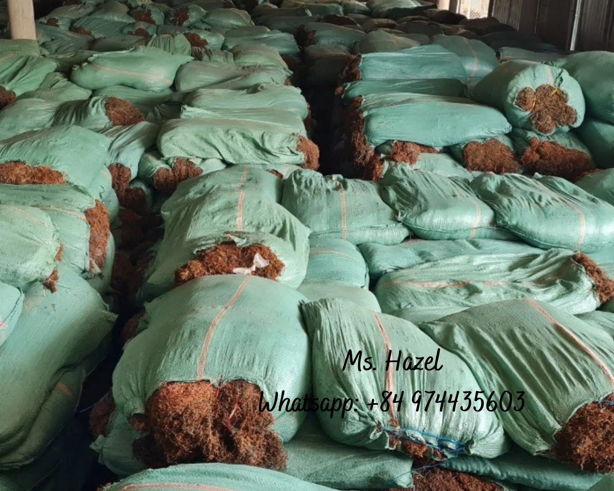 Dried Sargassum Seaweed Material For Fertilizer From Vietnam/best Grade ...