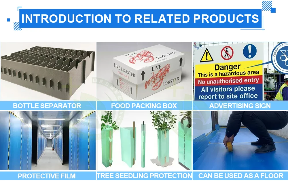 Factory Custom Pp Plastic Stackable Warehouse Corflute Collapsible ...