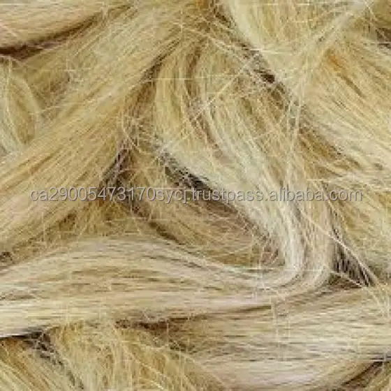 Quality Sisal Fibre For Export Sisal Fiber Other Fiber Custom Length 0 ...