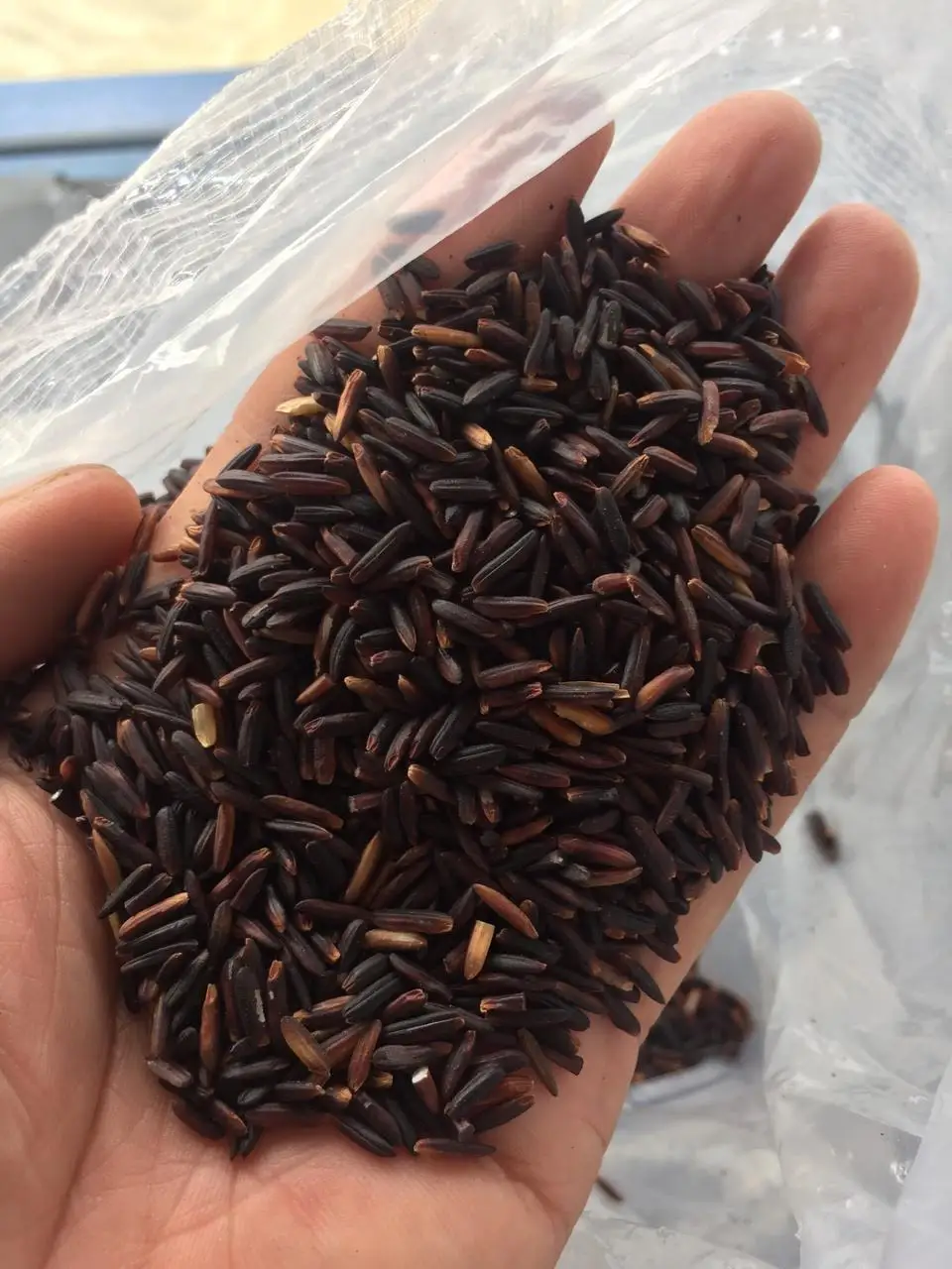 BLACK RICE BLUEBERRY RICE +84765149122 - VILACONIC Quality