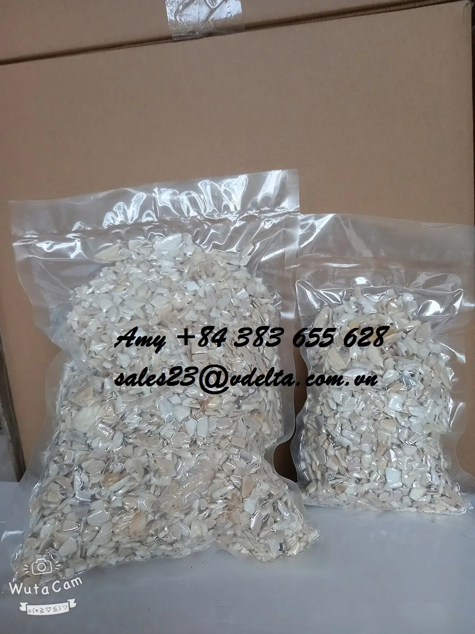 Crushed Cuttlefish Bone/ Sepia Bone Powder/ Cuttle Bone For Sales Lily ...