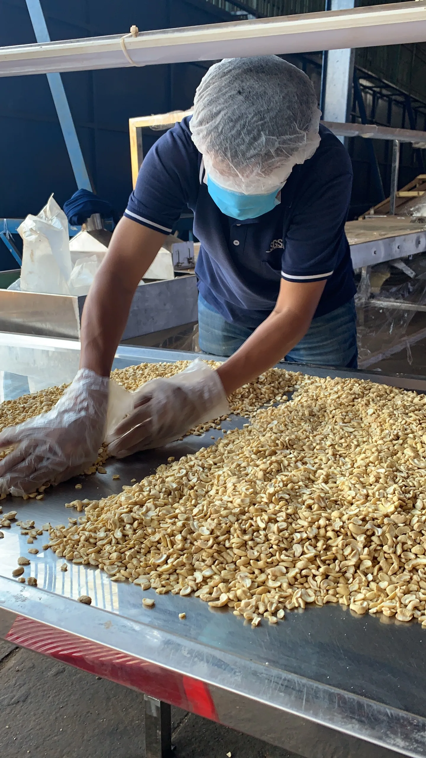 Cashew Nuts Ww450 W180/ W320/ W240/ Lp/ Sp Good Material For Eu Quality ...