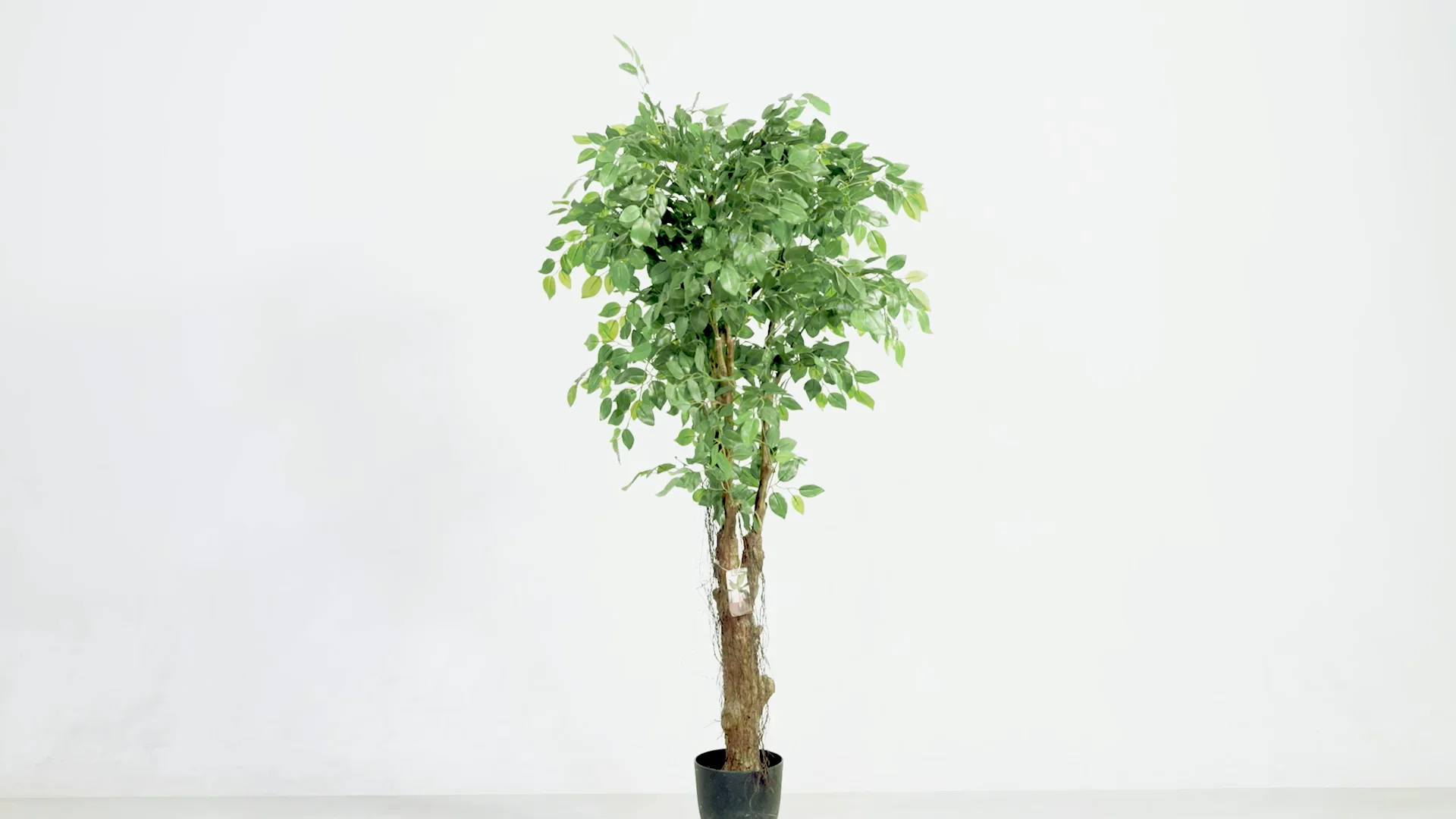 Decorative Indoor Silk Green Simulation Trees Fake Ficus Plant ...