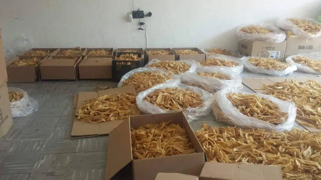 Dried Seafood Yellow Croaker Fish Maw Dried - Dried Fish Maw Of Corvina ...