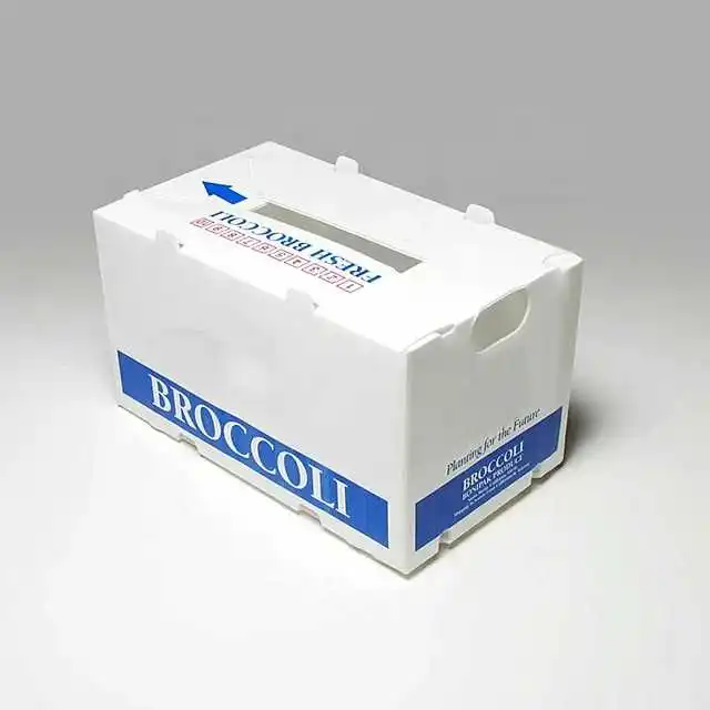Up Plastic Packaging Boxes Okra 2-8 kg Boxes Different Colors with Food ...
