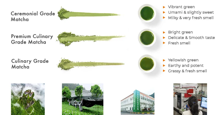 Matcha Ball Mill Premium Matcha Powder - Ceremonial Grade