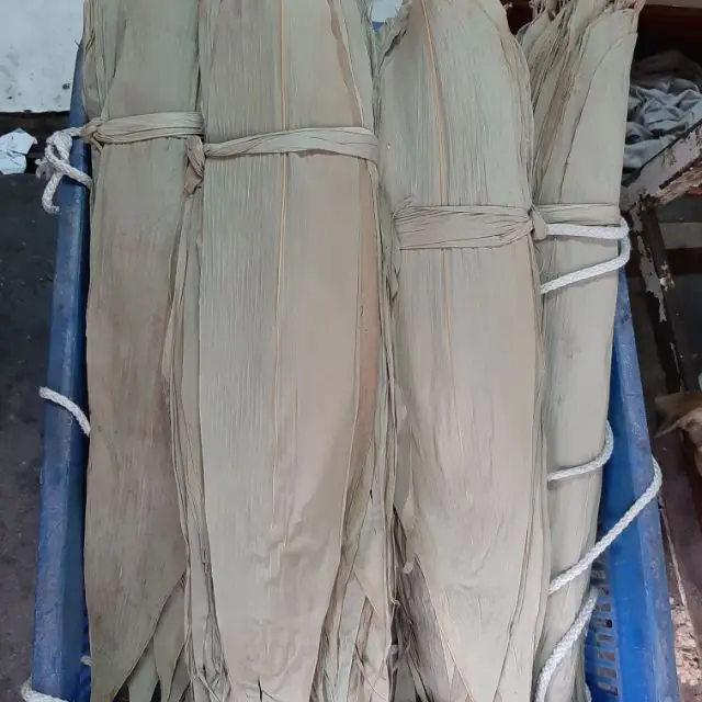 Bamboo Leaves the Natural Wrapping Material| Alibaba.com