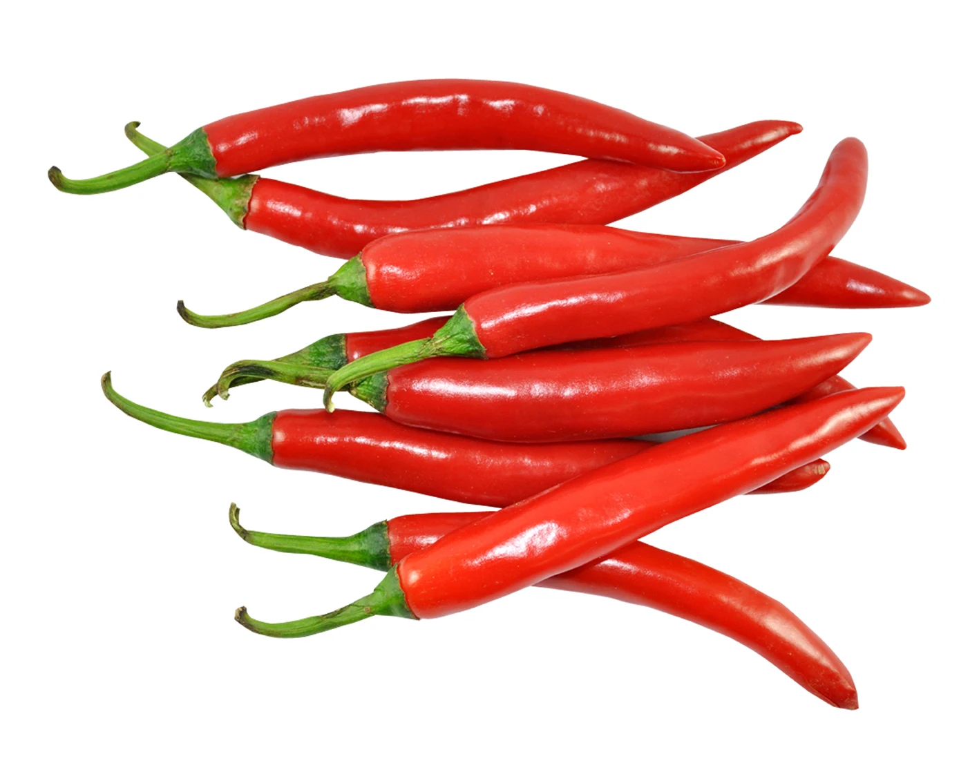 Fresh Red Chili - Organic Export Standard & Best Price