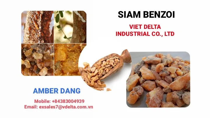 Large Quantity - Benzoin Siam Gum - Used In Perfumery Technology ...