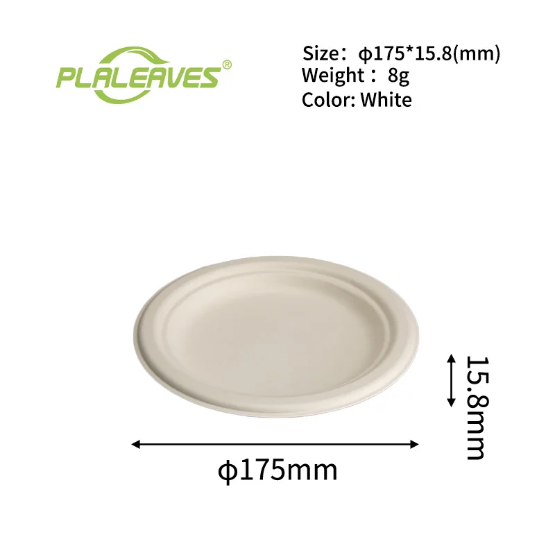 Eco-friendly Pizza Boxes - Customizable & Biodegradable