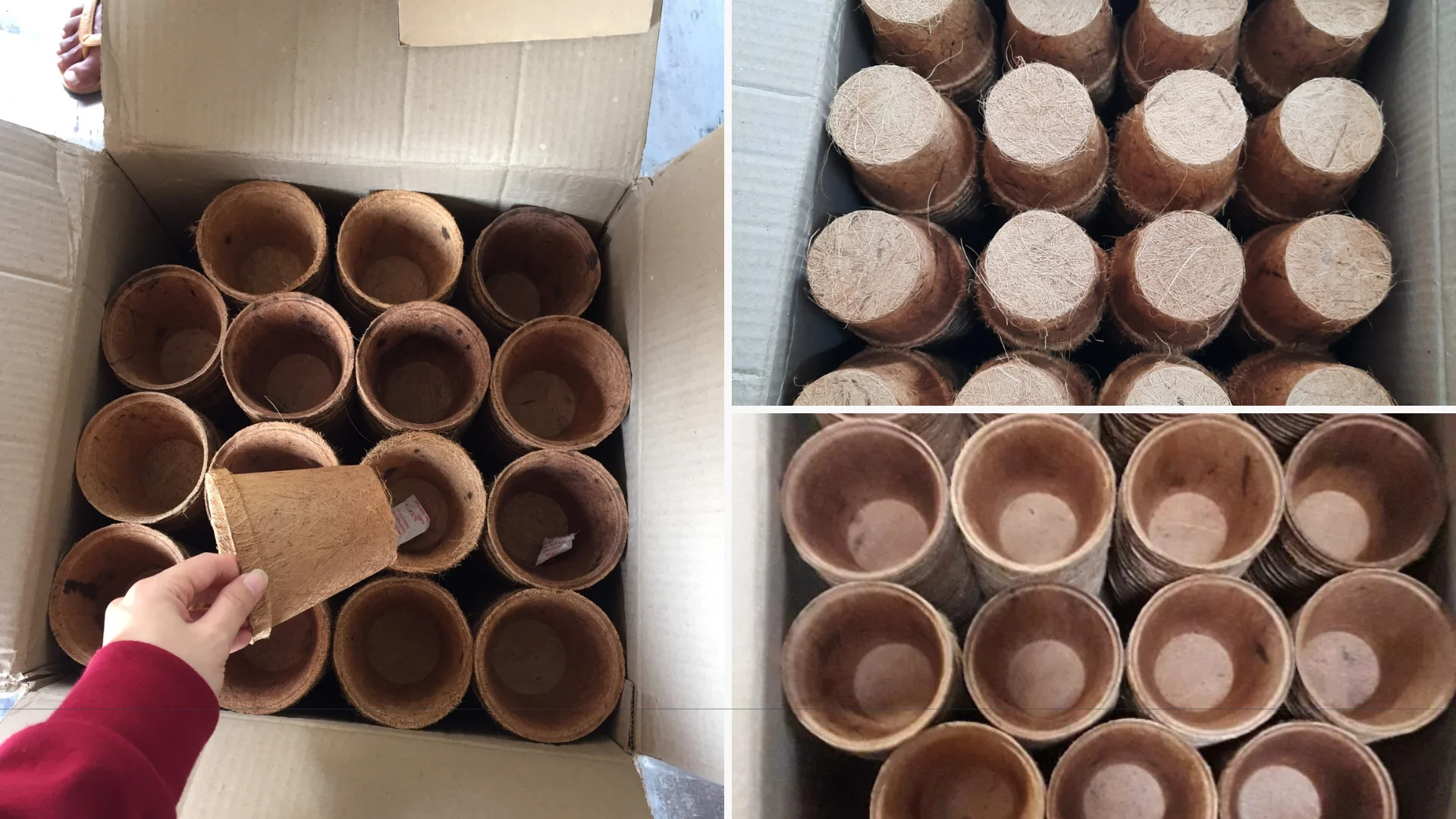 Vietnam Biodegradable Coconut Fiber Pot Coconut Fiber Plant Pot Coconut ...