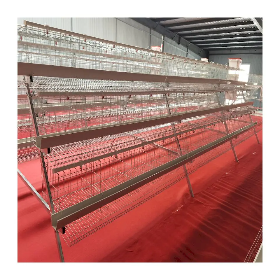 1000 Heads Capacity 3tier Layer Cage/chicken Layer Cages - Buy Breeding ...