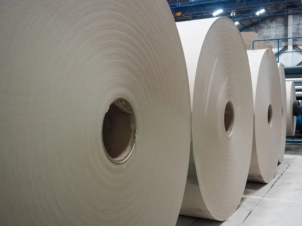 Thai Paper Supplier Core Board Cb Jumbo Roll (300 Plybond) For Making ...