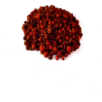 Wholesale Price Malkangni Seed - Indian Origin Celastrus Paniculatus ...