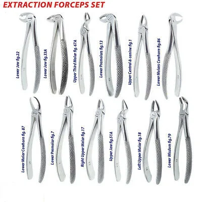 Ash Forceps Extraction Lustra 22 Dental Oral Surgery Instrument