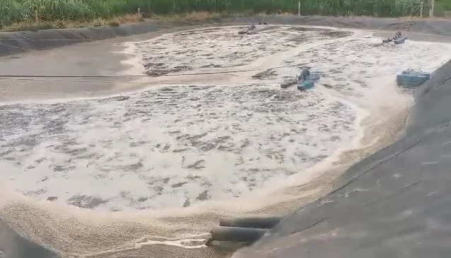 Aspirating Jet Aerator - Efficient Wastewater Treatment