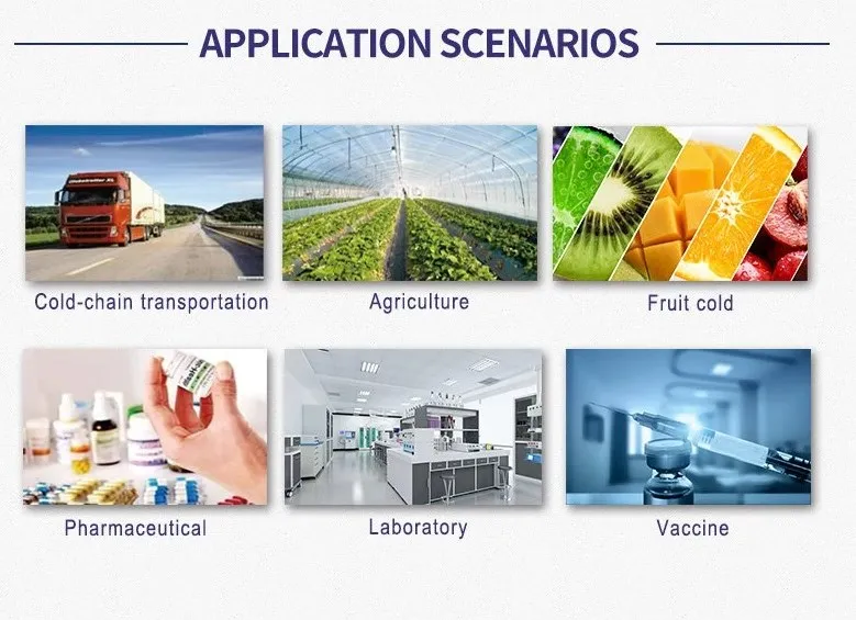 Single-use Cold Chain Data Logger - Reliable Temperature Monitoring