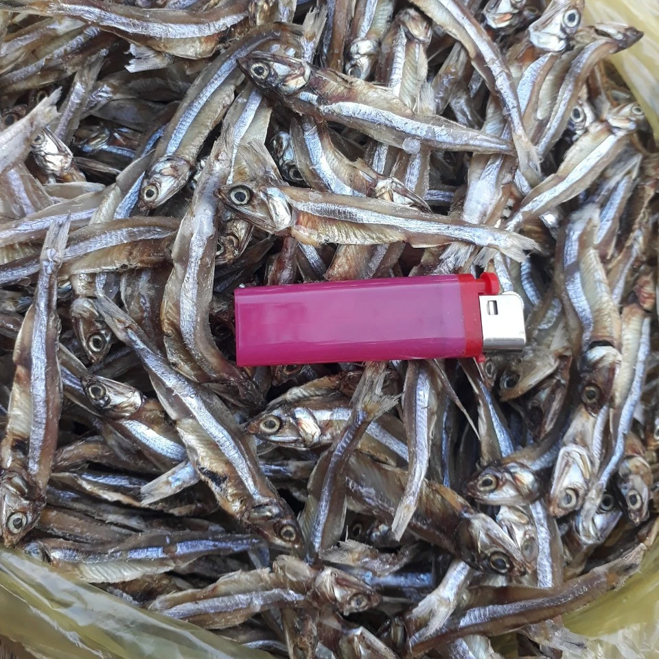 Dried White Anchovy Fish Fillet Packing Bulk Oem - Seafood(at)linda(dot ...