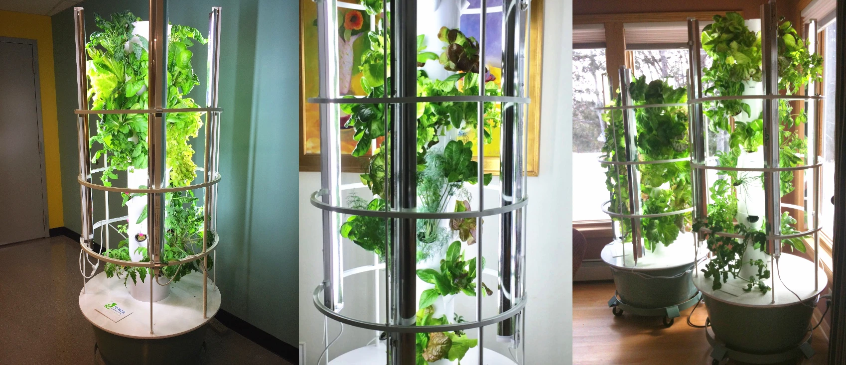 Vertical Aeroponic Grow System for Efficient Lettuce Production