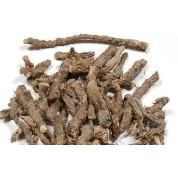 Inula Racemosa Pushkarmool Ayurvedic Herb | Health Care Supplement For ...