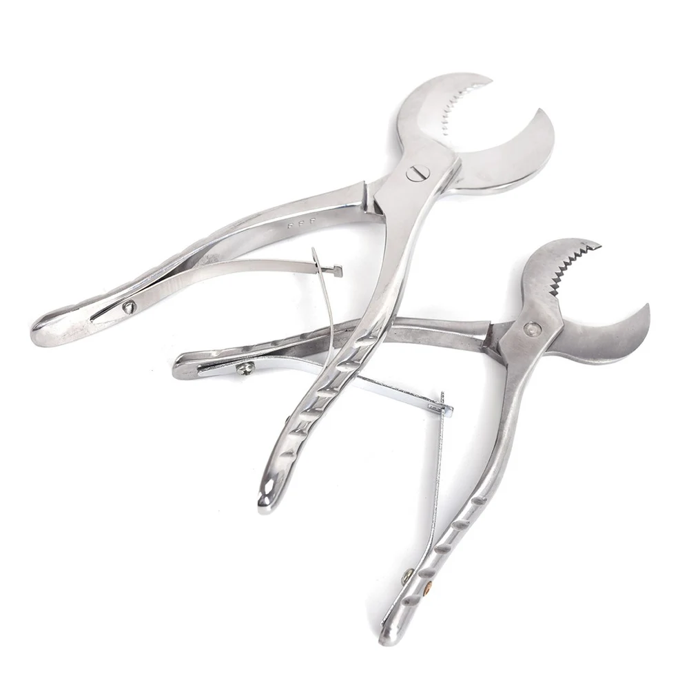 Plaster Cutting Pliers Plaster Scissors Dental Instruments Bone Cutter ...