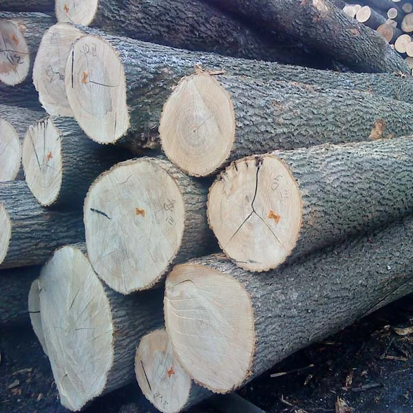 Pine, Birch, and Spruce Wood Logs - Durable and Versatile