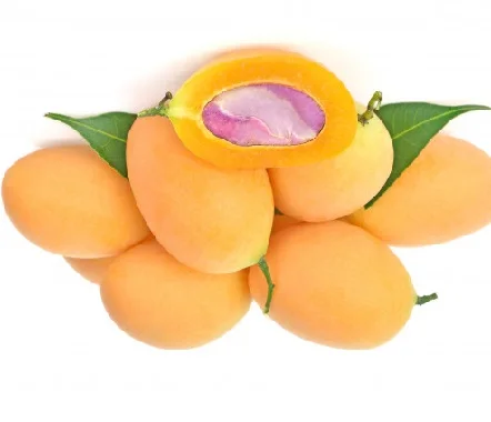 Premium Quality Fresh Plum Mango Fruit| Alibaba.com