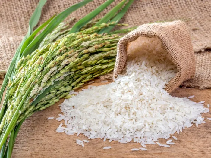 Jasmine Rice Perfumed Rice Long Grain White Rice Packing (1kg,5kg,10kg ...