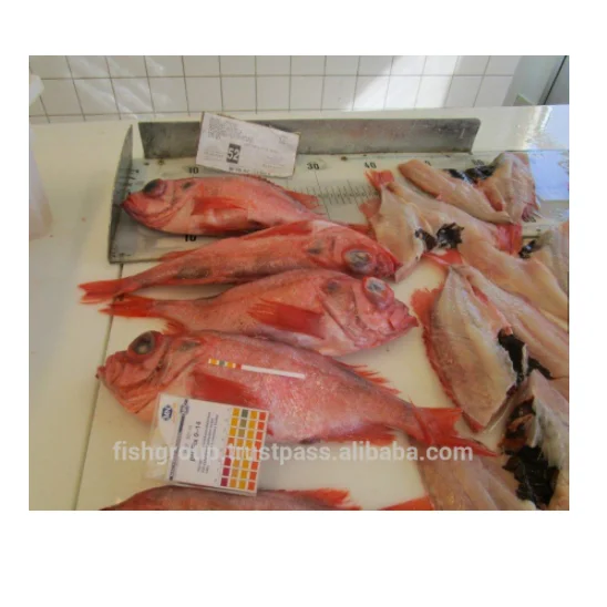 Premium Quality Fresh Organic Low Sodium Low Trans-Fat Frozen Whole ...