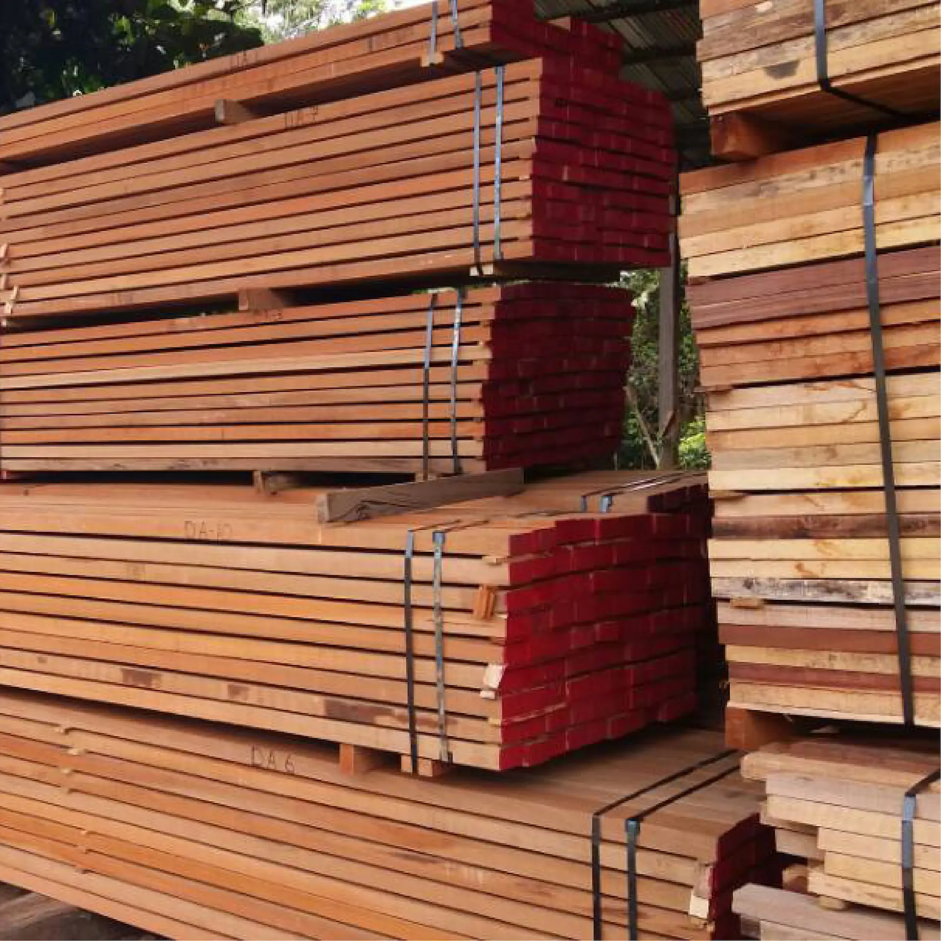 Red Color Durian Wood from Malaysia - Industrial Log Wood