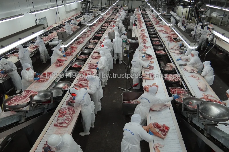 Processed Frozen Beef Meat - Buy Wholesale Beef Tallow Halal Salted ...