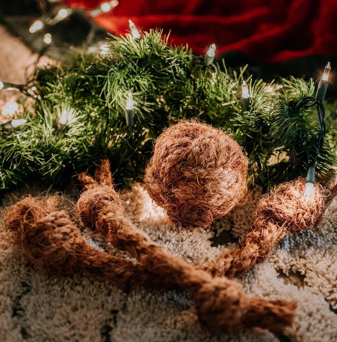 Natural Coconut Chew Rope for Dogs - Durable & Healthy