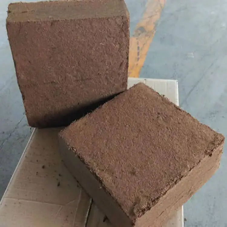 Cocopeat Block 5kg Block Size: 30cm X 30cm X 12cm - Buy Coconut Peat ...