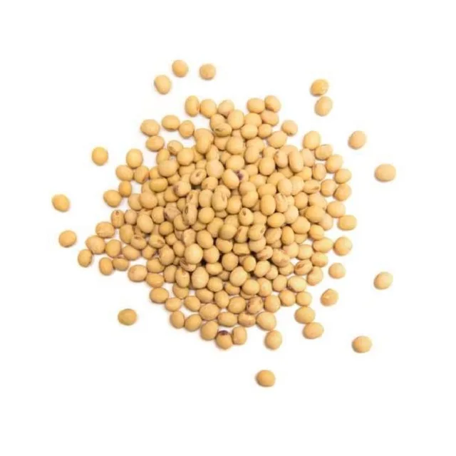 Soybeans Non Gmo Yellow Soybean / Soya Bean Seed - Buy Soybeans Soya ...
