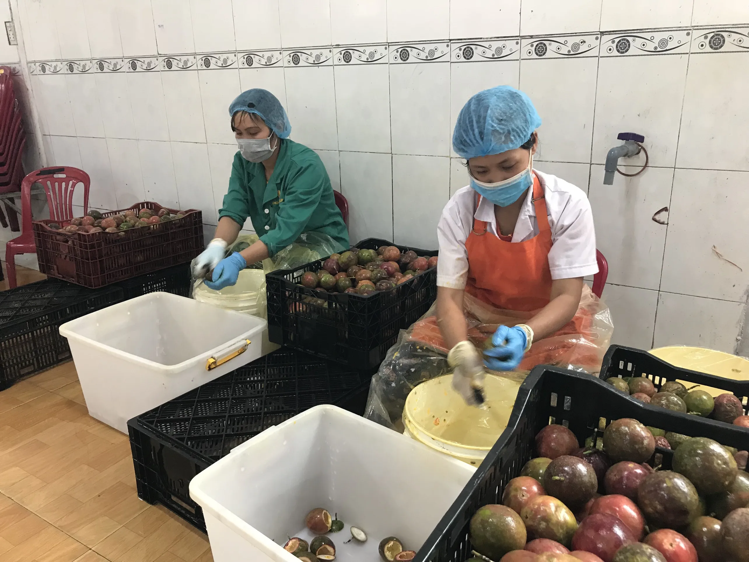 Premium Quality Steamed Frozen Passion Tropical Fruit Frozen With Seed ...