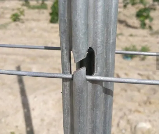 Galvanized Metal Grape Stakes - Durable Vineyard Trellis Posts