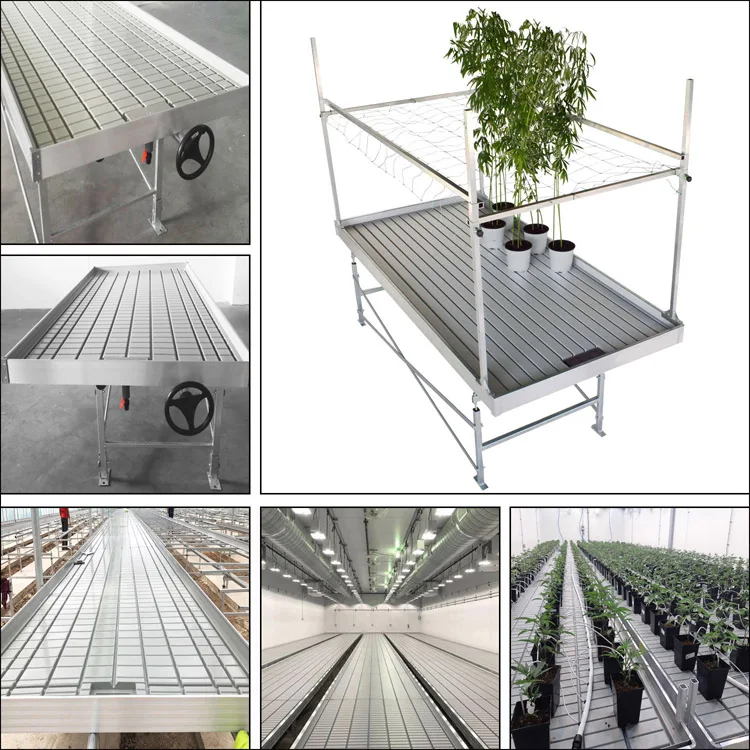 Hydroponic Growing Tables - Efficient Seedling Propagation