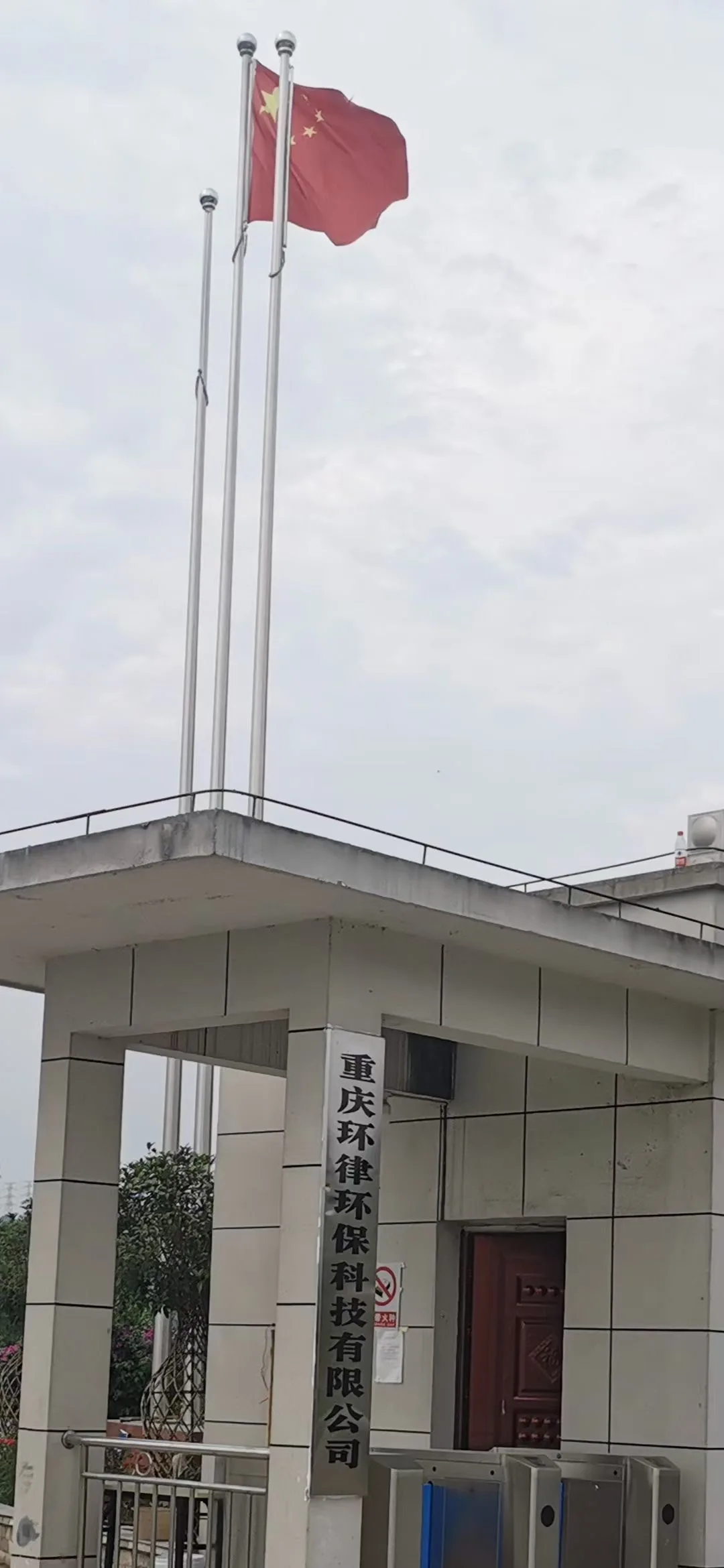 Custom Softwood Pulp Packaging Box - Eco Friendly & Biodegradable