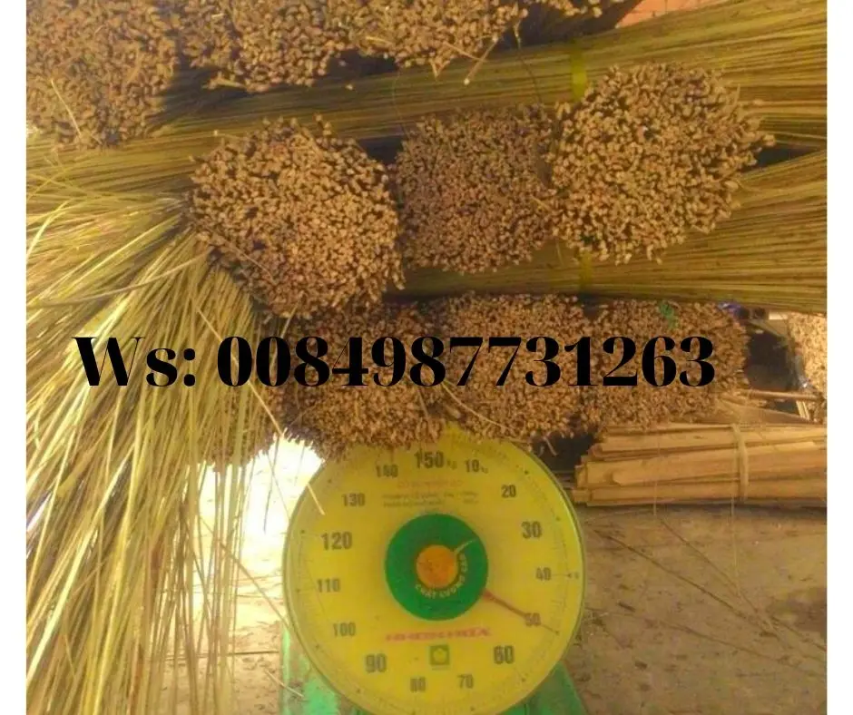100% Natural Coconut Broom Sticks Making Machine - White Niph Broom ...