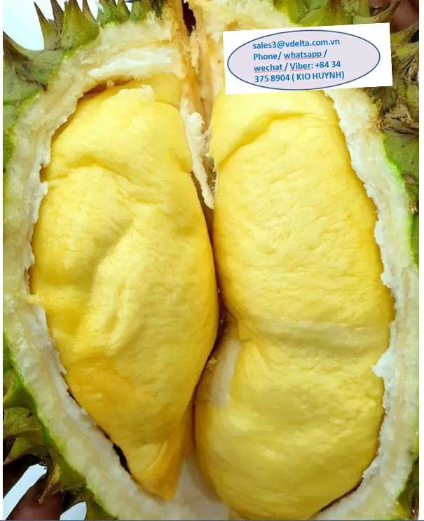 [hot] - Frozen/fresh Vietnamese Monthong (dona) Durian/ (ms. Kio Hyunh ...