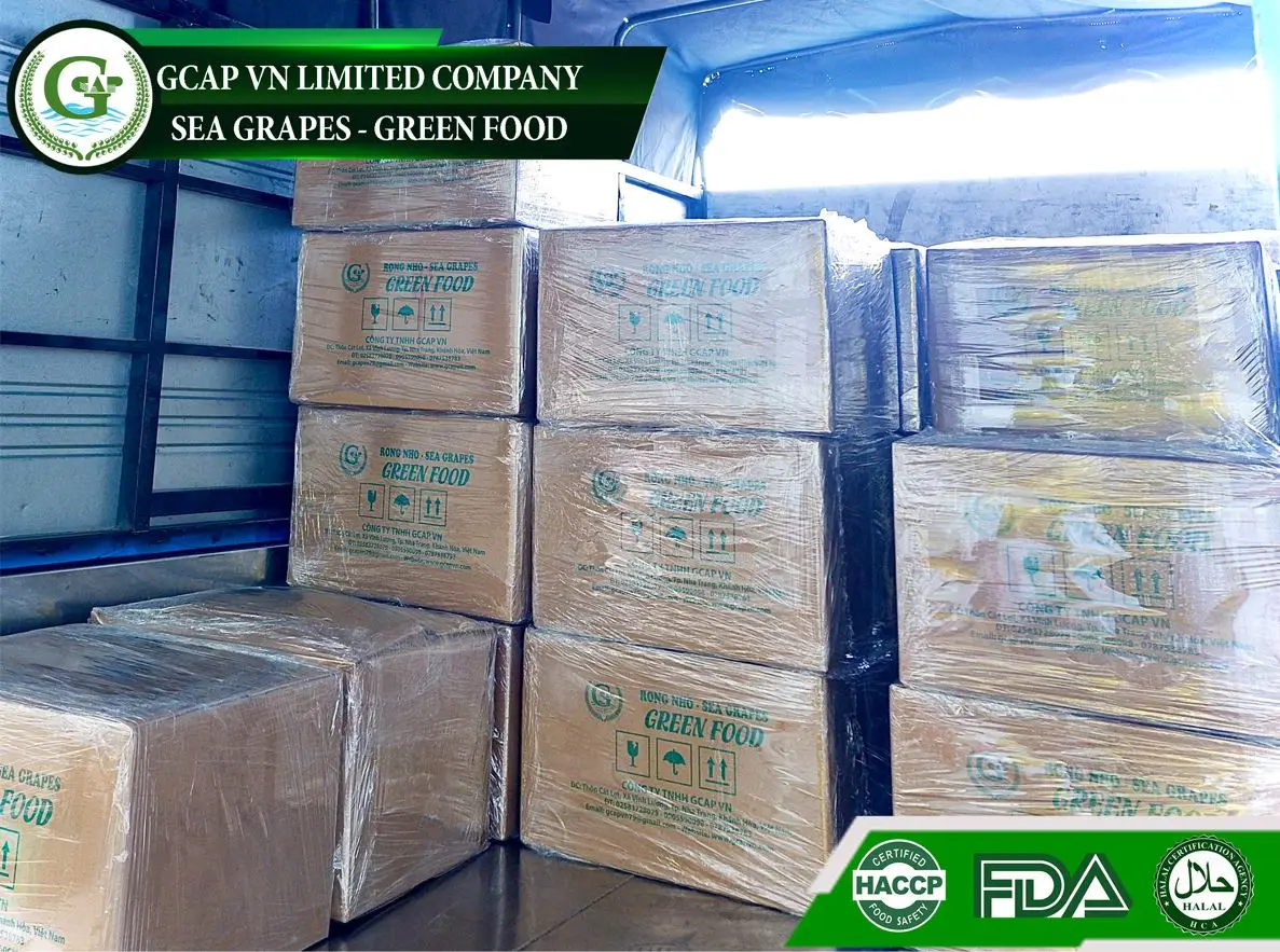 Dehydrated Sea Grapes Sea Grapes 100% Natural Sea Grape Dried Longevity ...