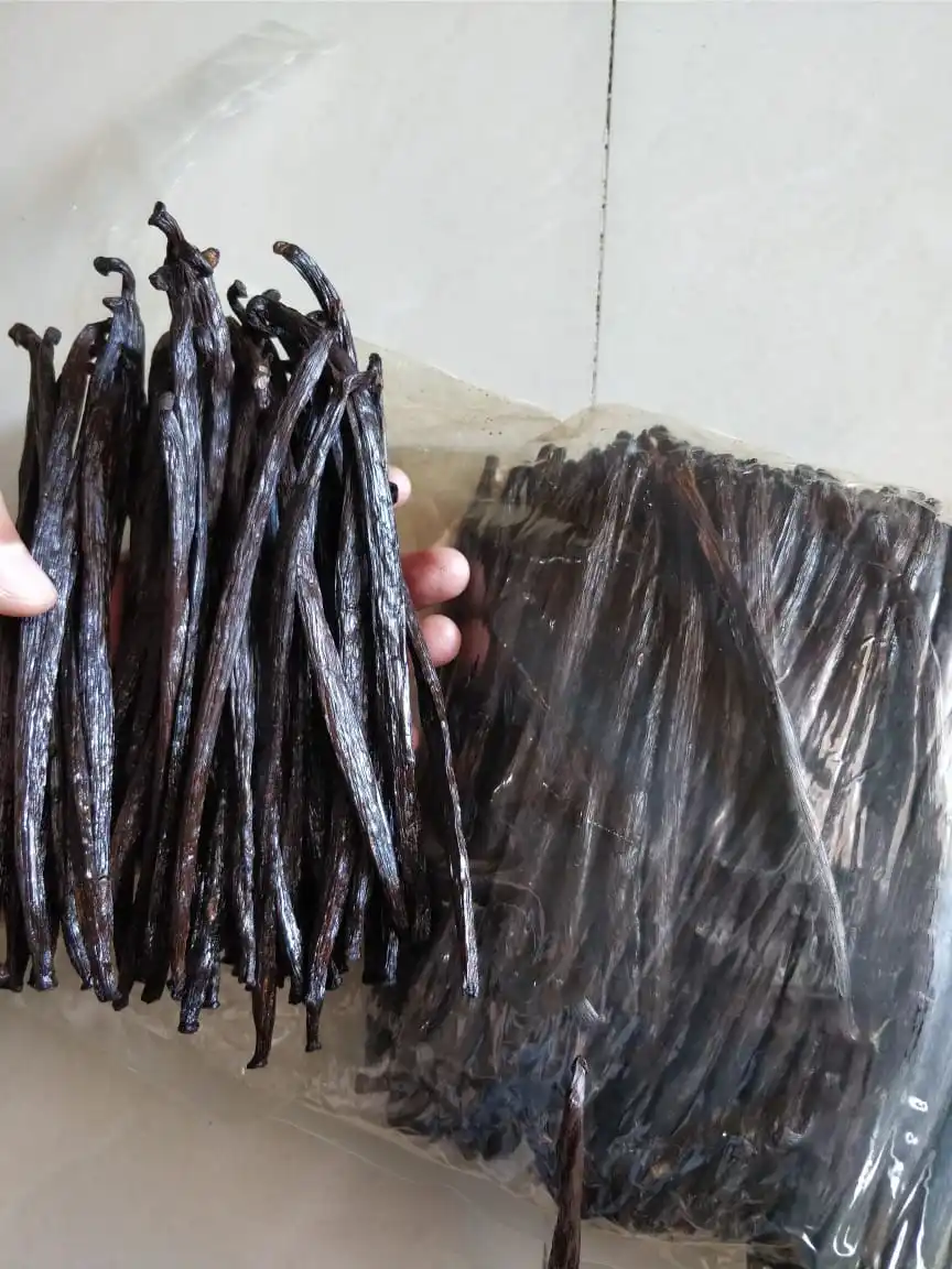 Company Overview - UD. STAR LABORATORIES